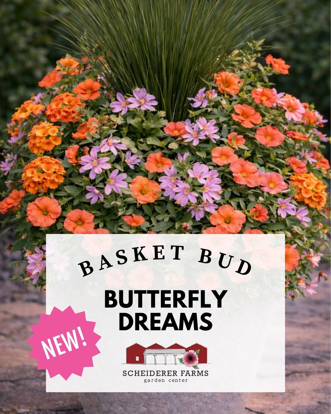 Scheiderer Farms Garden Center