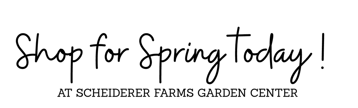 Scheiderer Farms
